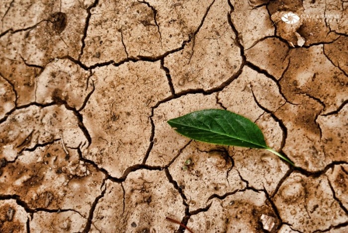 Heart and Keeper Connected: Only When the Brook Was Dry