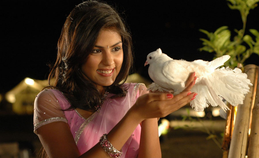 Riya latest spicy photo shoot ~ world actress photos,Bollywood ...