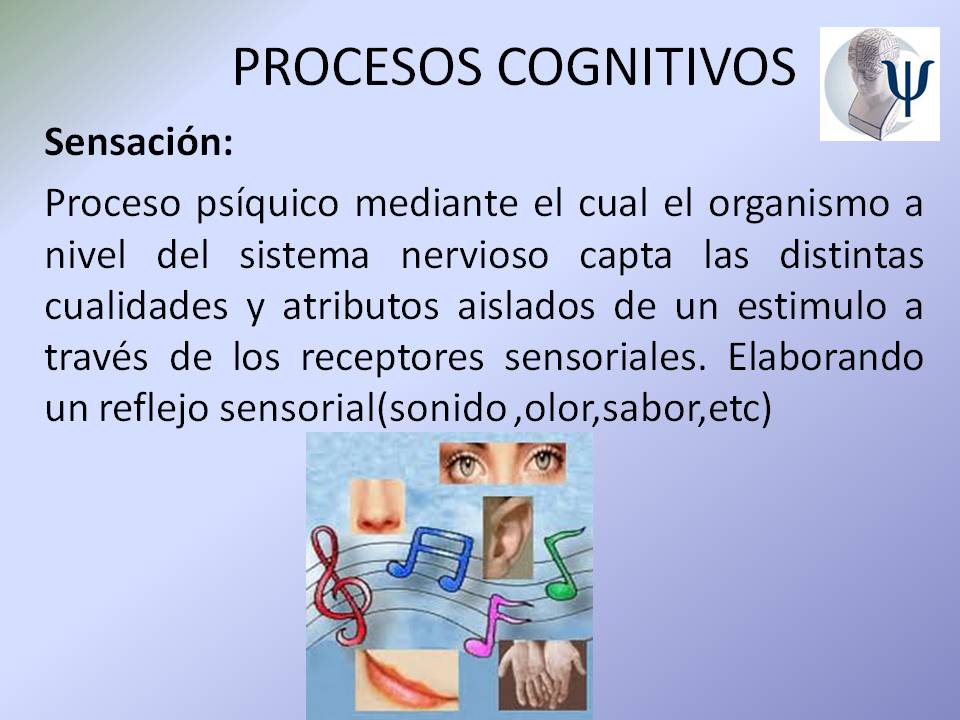 PSICOSOFHIA: PROCESOS COGNITIVOS:Percepción / Sensación- Memoria