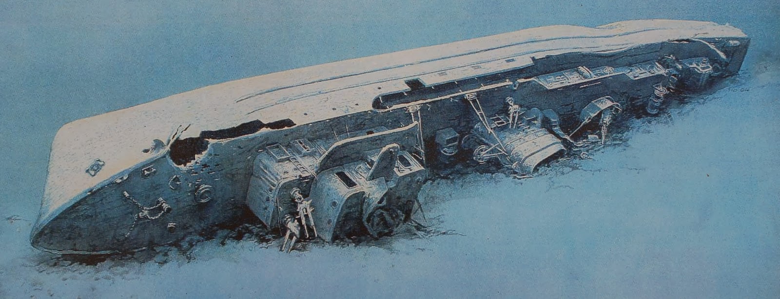 Rojo Dive Safari - ES: MY / EL MINA