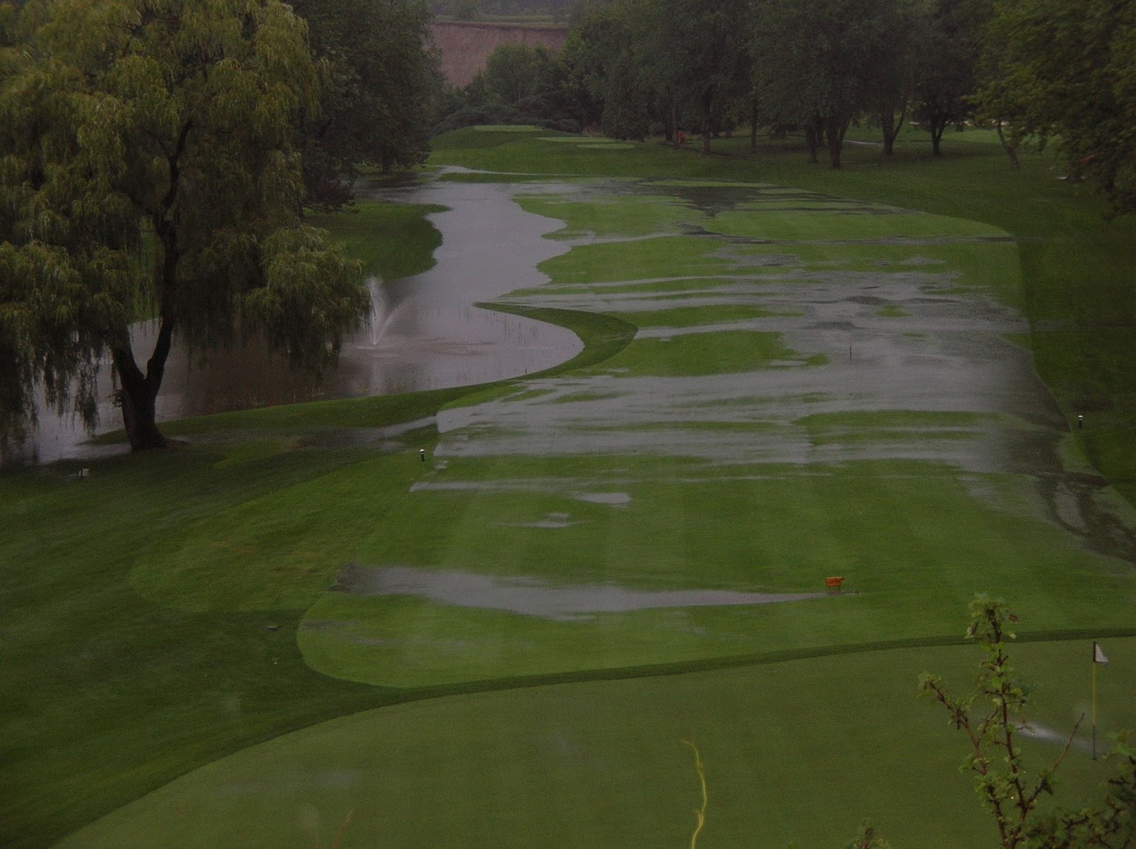 Whitevale Golf Club: Addressing thinning greens