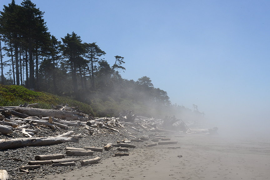 Travels With Shadow: Seattle, Olympic National Park and the Washington ...