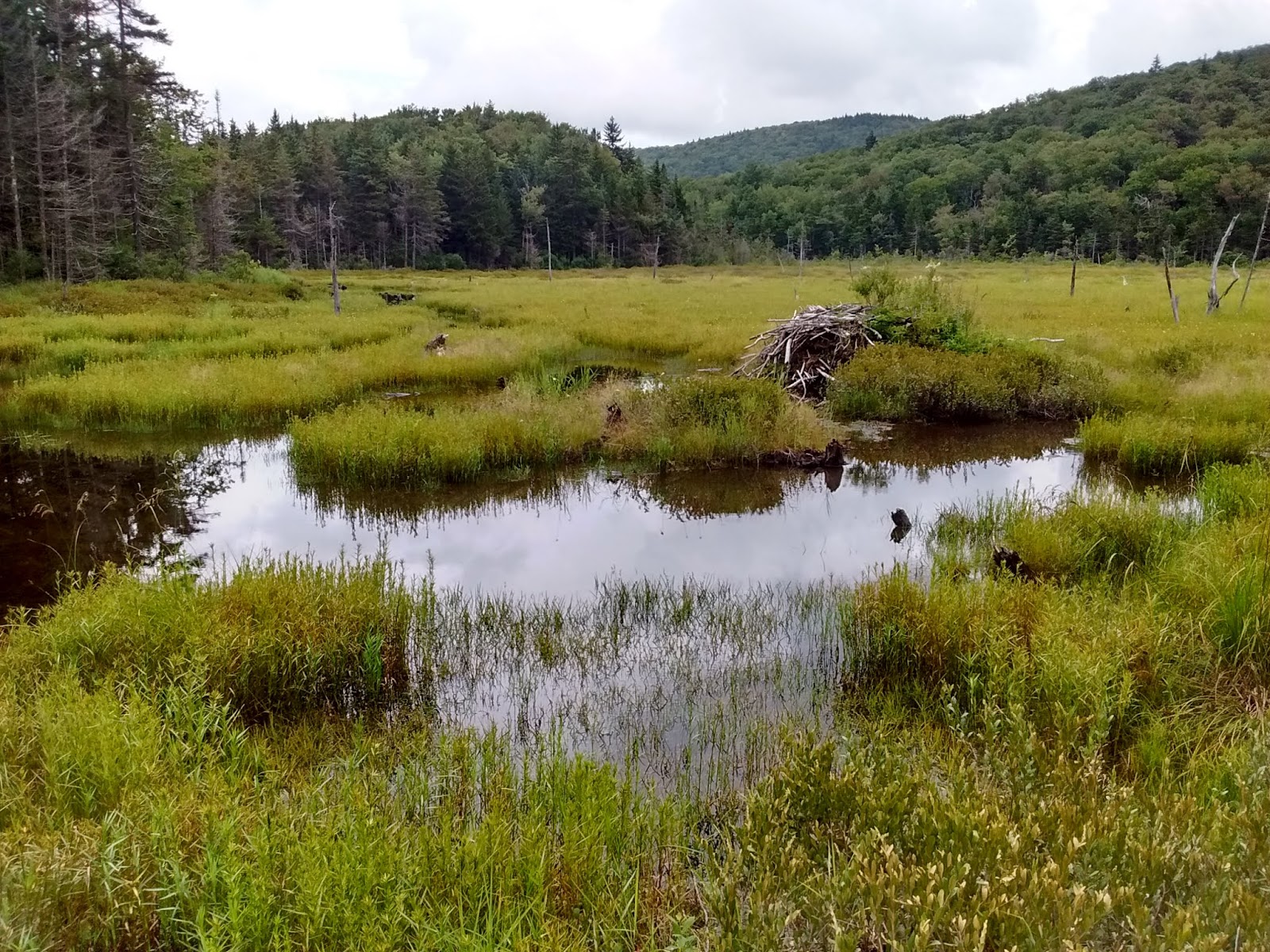 GLASTENBURY MOUNTAIN backpacking on the AT/LT in Vermont