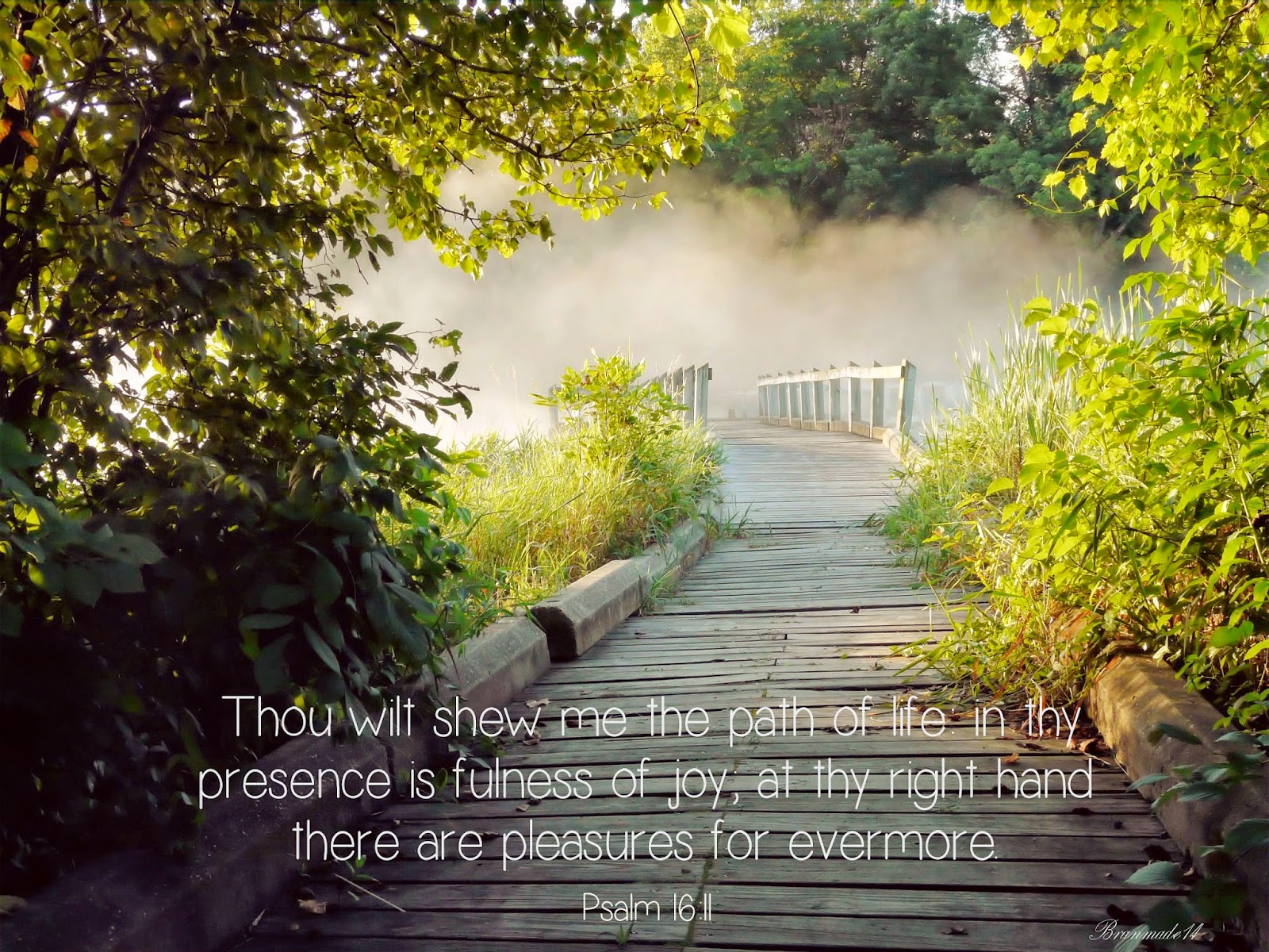 Grace From God: Graphics~ The path of life