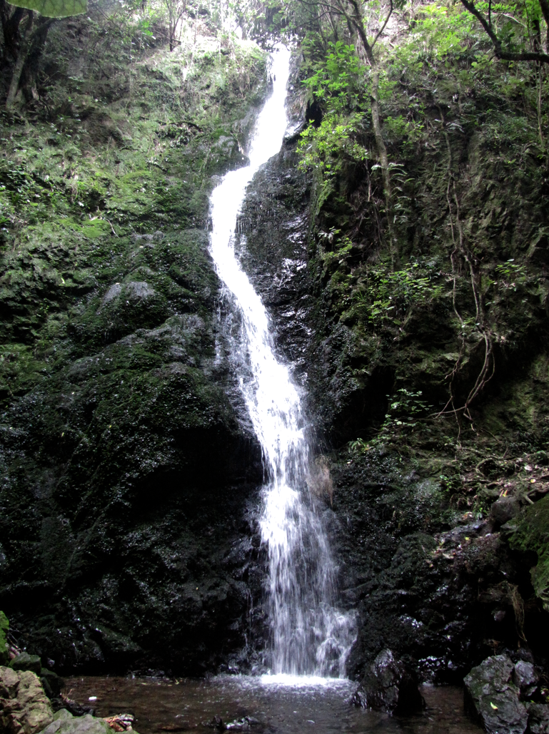 Explore and Discover Nature: Percy Scenic Reserve - Explore nature in ...