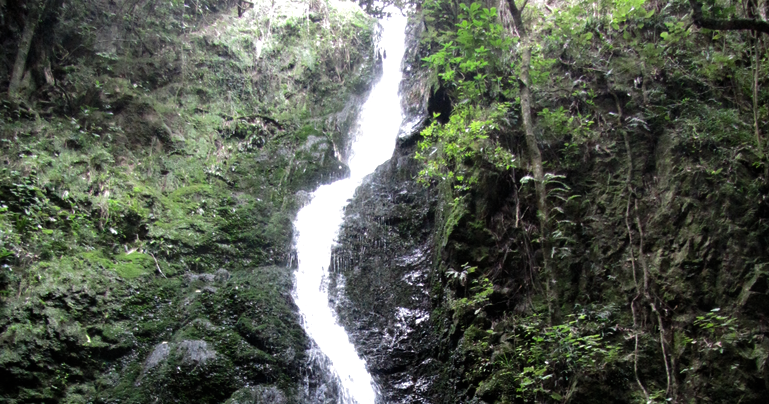 Explore and Discover Nature: Percy Scenic Reserve - Explore nature in ...