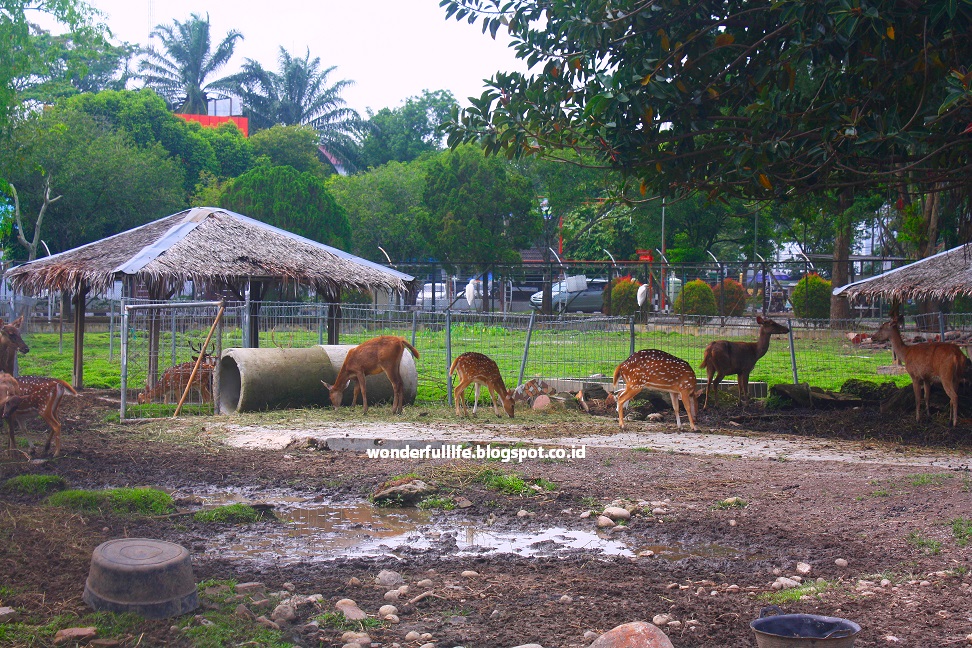 Taman Penangkaran Rusa USU - Travelicious