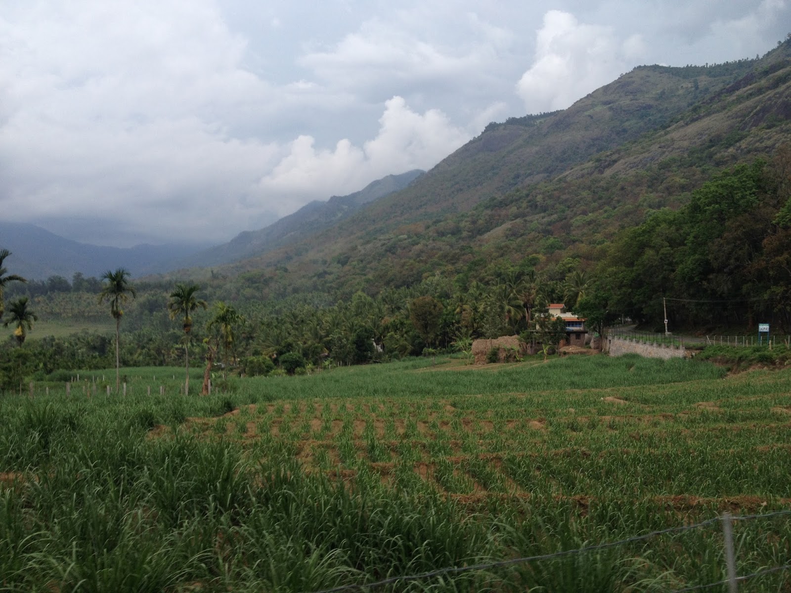 KANTHALLOOR THE LAND OF FRUITS | TOURIST ATTRACTIONS IN KANTHALLOR ...