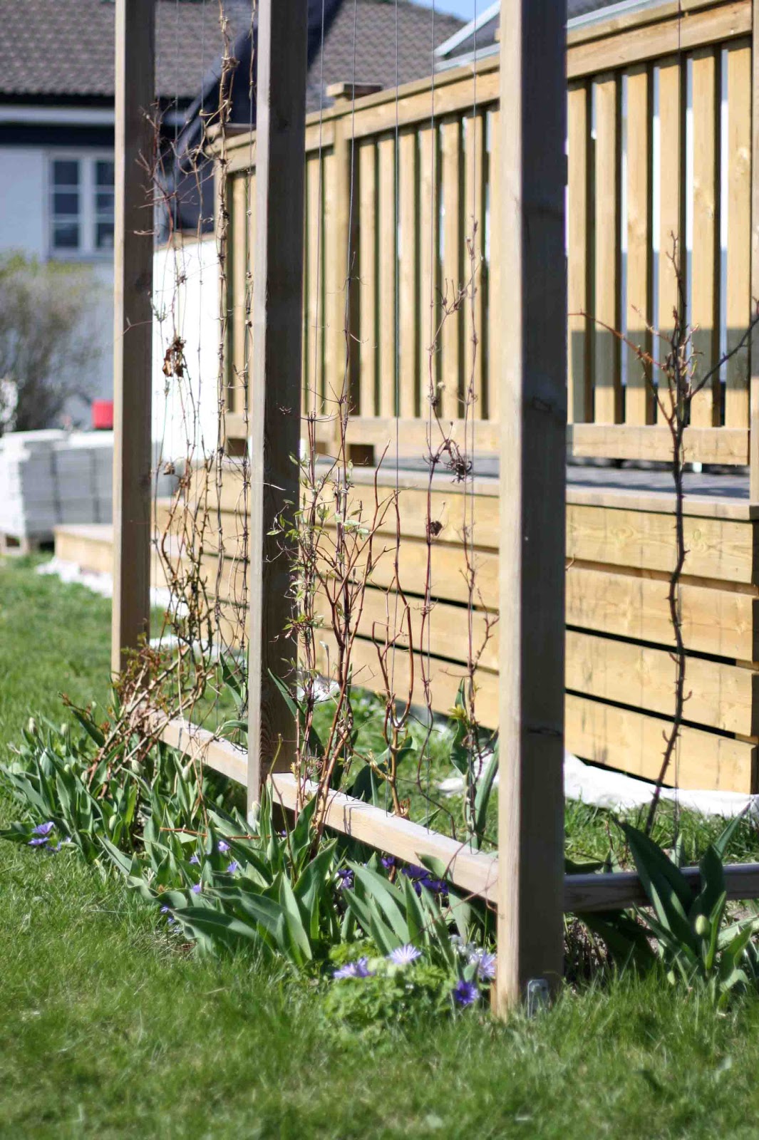 Fru B inspirerar: Spaljén blev svartmålad!