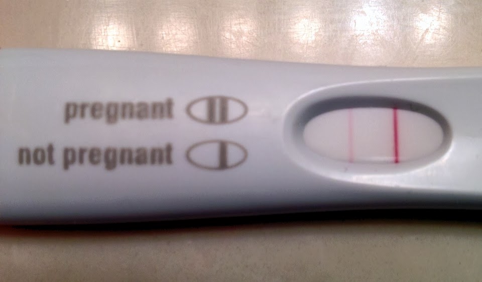 Where is that bird?: 7dp5dt