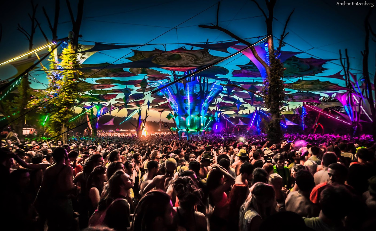 Psychedelic Catharsis : How the Raving Culture is a Blessing in ...