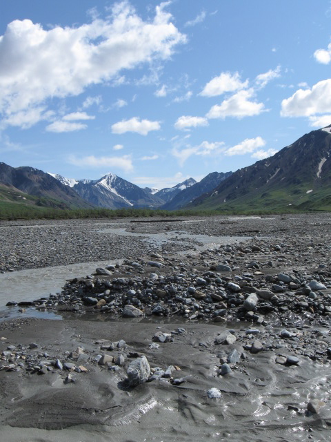 At home in Alaska: Toklat Glacier trip