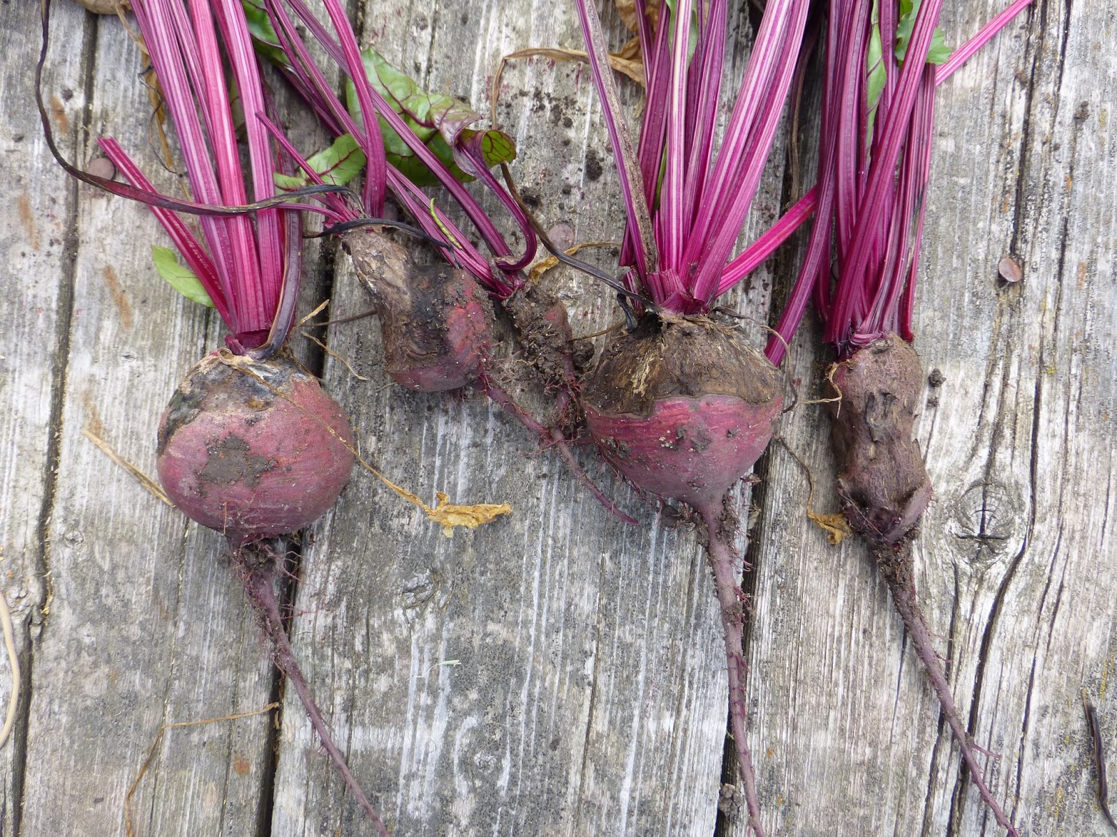 black thumb, green heart