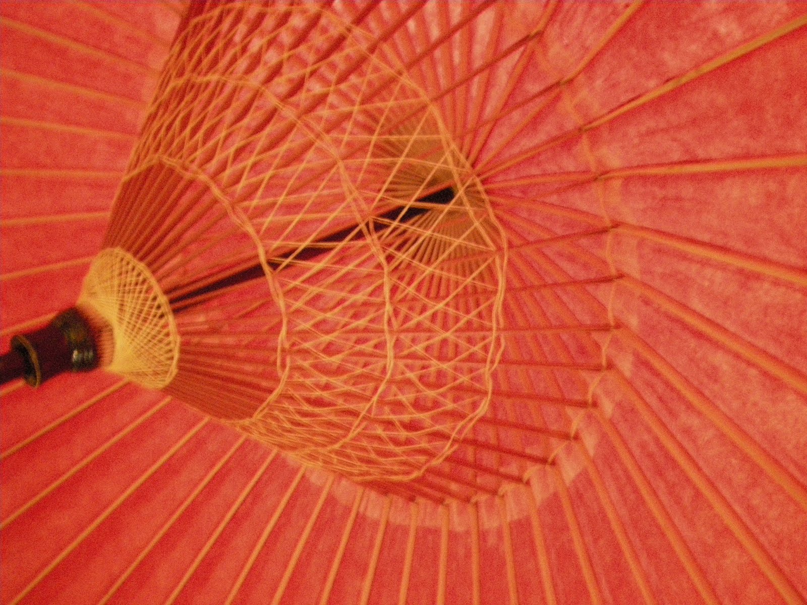 Who is afraid of visiting Japan: Japanese traditional umbrella and ...