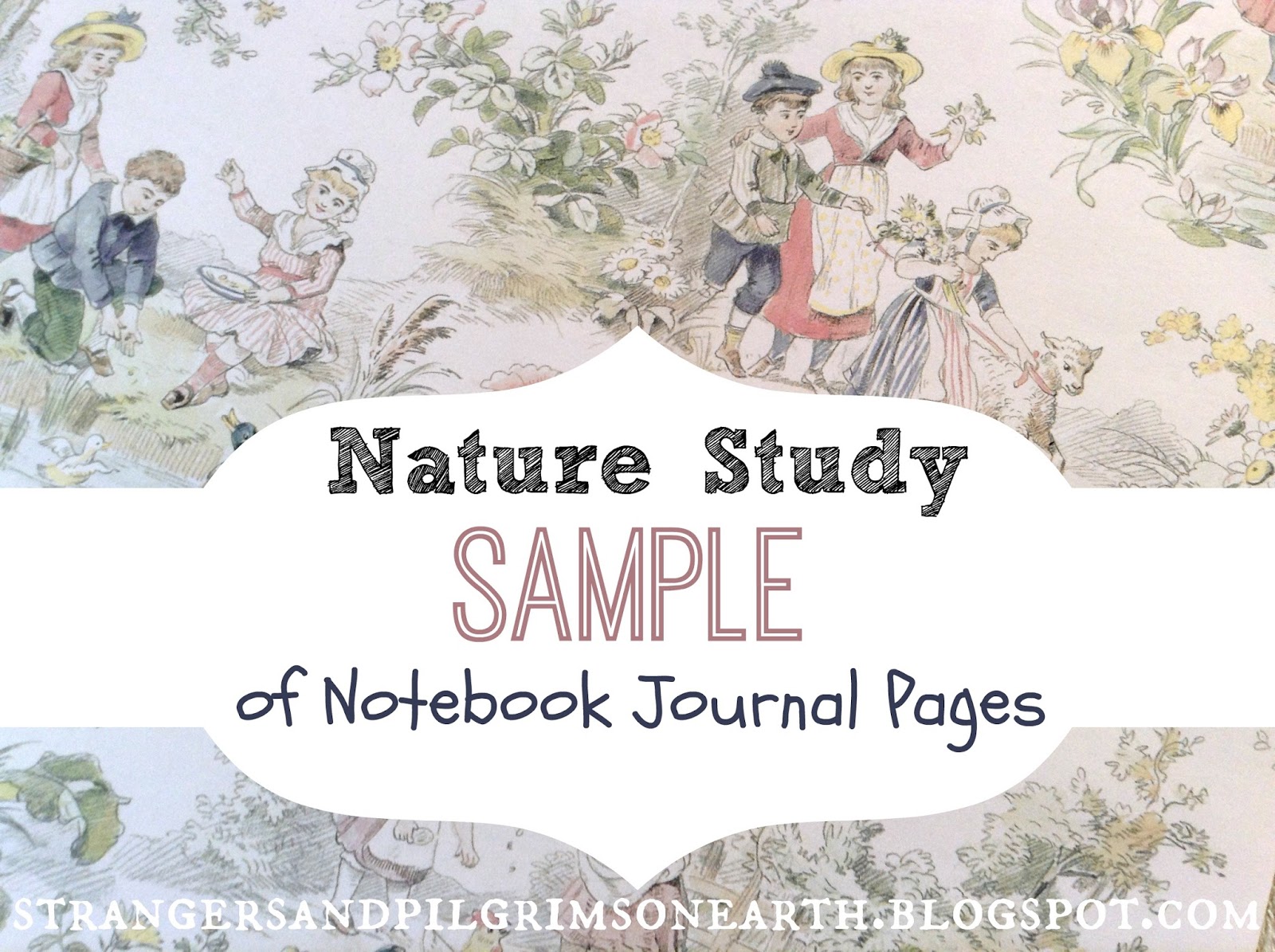 Strangers & Pilgrims on Earth: Sample of Our Nature Study Notebook ...