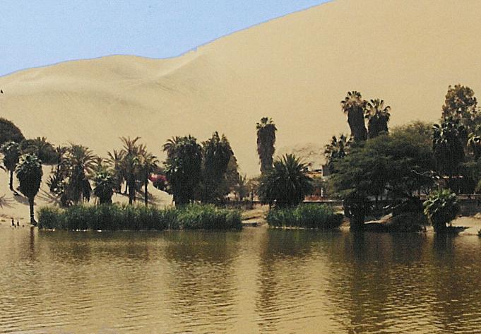 GREEN FOREST: Definition of Oasis