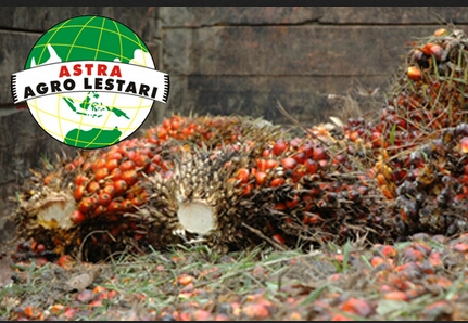 Tenaga Kerja Luar Jawa: Kelapa Sawit Kalimantan