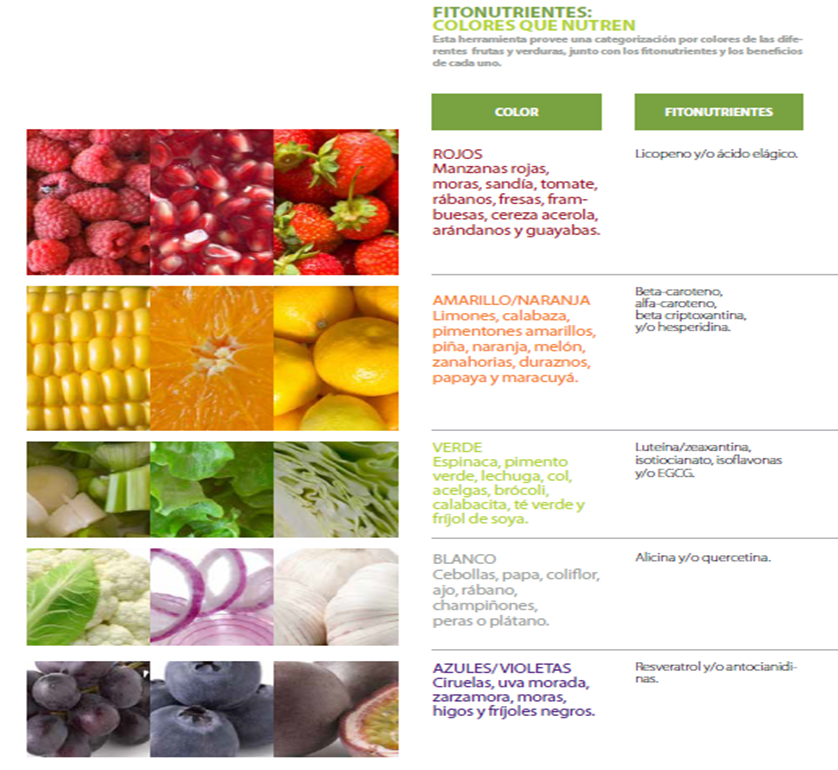 mentecologica: ¿Sabes que son los fitonutrientes?