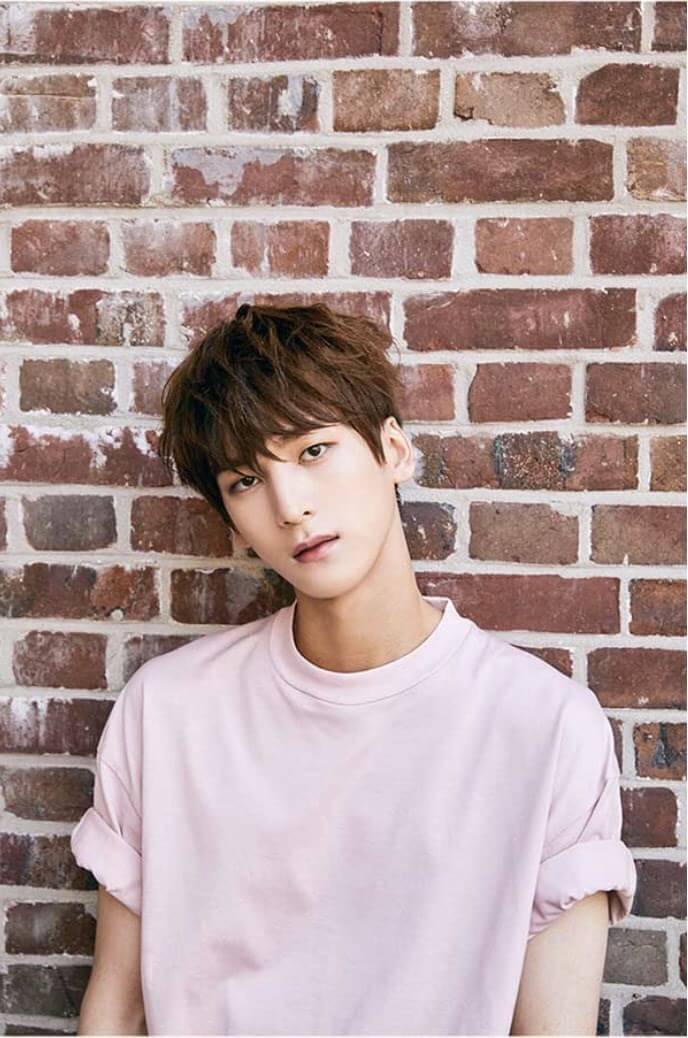 KPOP NEWS: Profile and Facts of Golden Child Personnel