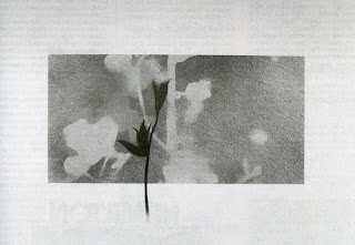 ARTlines Archive: Eugene Dobos: My Charred Flowers (1981)