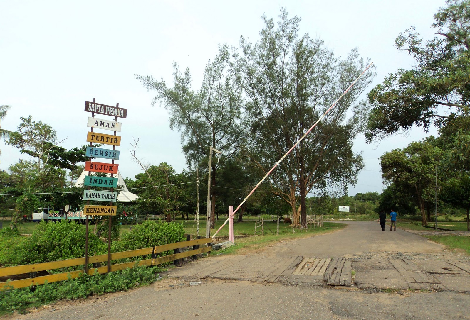 Pelaihari Ulun: Pesona Keindahan Menuju dan di Pantai Batakan Pelaihari