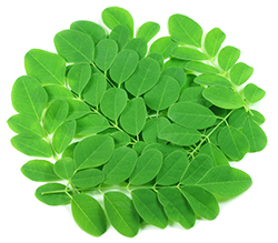 Tiba asili. - Mwl Ndiku