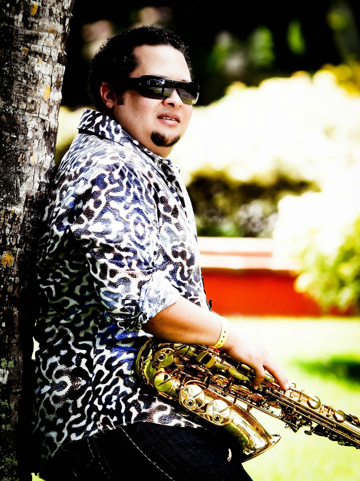 Yaguaza.com: Luis Disla y Sandy Gabriel participarán en The South ...