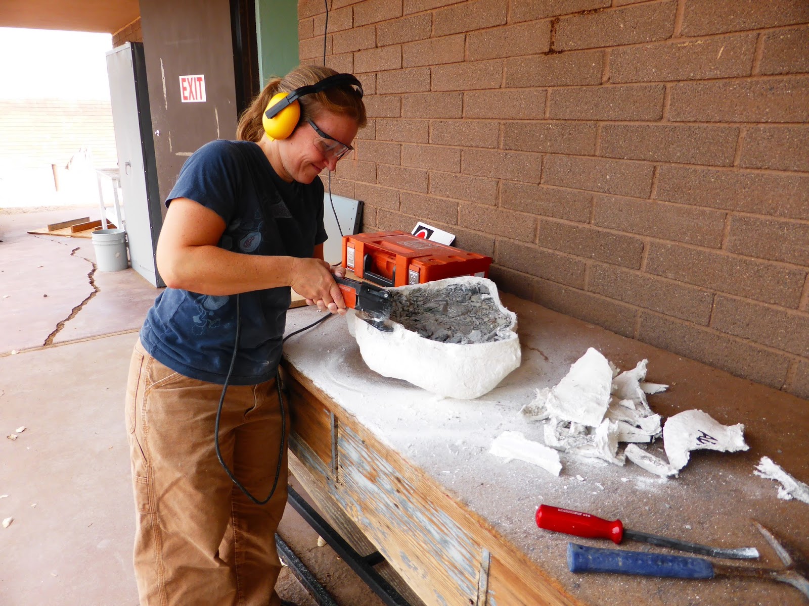 cruisingat60: Archeo and Paleo - you know, those dirt-diggers