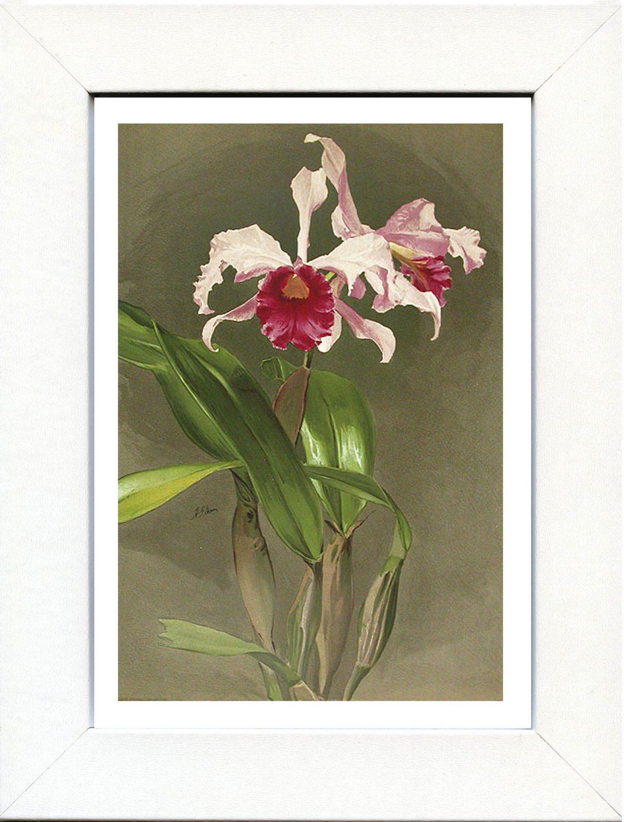 jjjewel.resimlerim: ÇİÇEK TEMALI RESİMLER