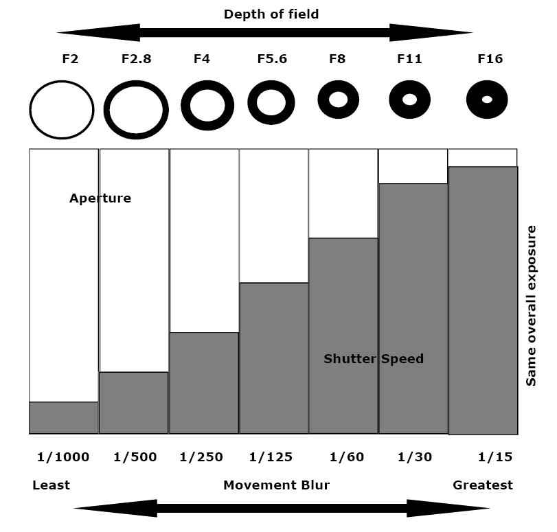 Digital SLR Photography Training: Shooting In Aperture Priority Mode ...