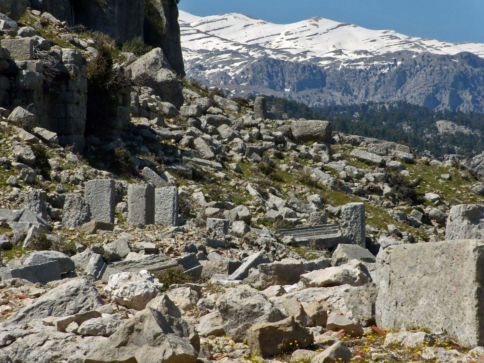 Megas Alexandros: Selge welcomed Alexander