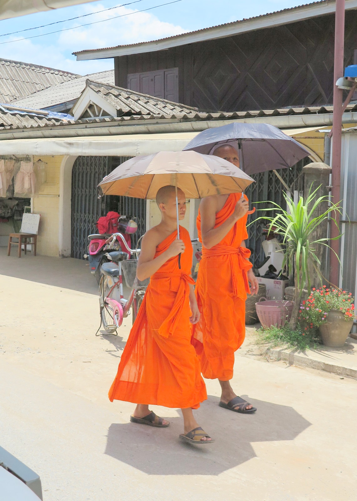 The 2015 Journey Around the World: Early wake-up and feeding the Monks