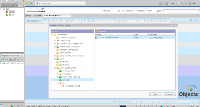 Reporting on BEX Query in WEBI 4.0