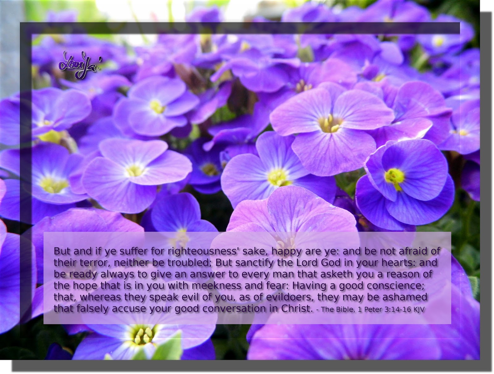 1-peter-3-14-16-kjv-trials-pinterest