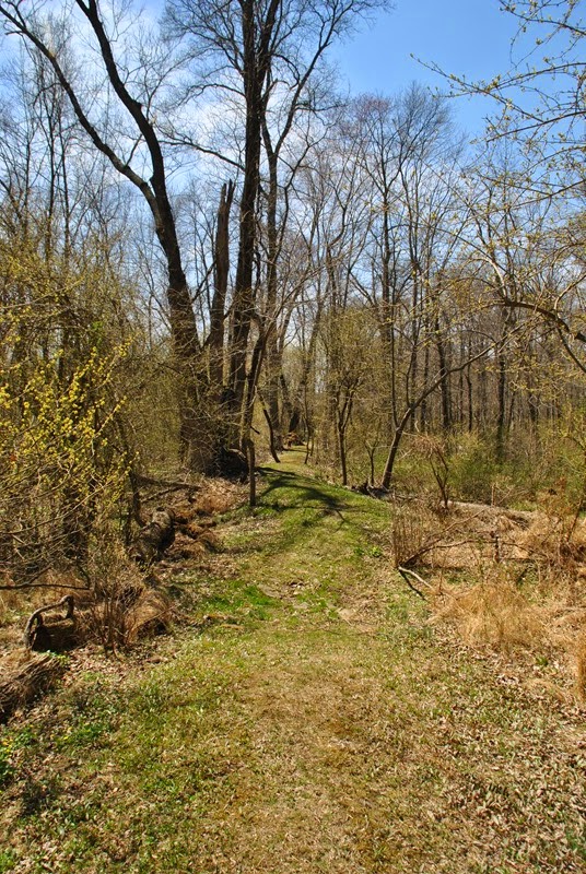 Southeastern PA Hiking: Binky Lee Preserve