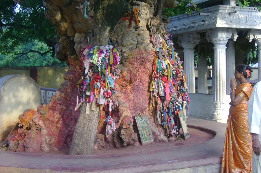 RUTHWIZ: CHENGALAMMA TEMPLE ,SULLURUPETA ,NELLORE