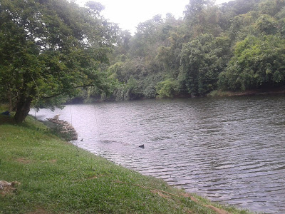 Exclusive Photos from Pooyamkutty, Kothamangalam - The Journalist