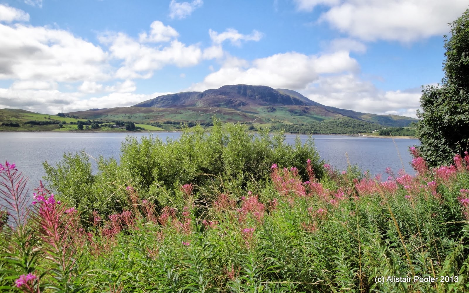 Alistair's Walks: Carnedd y Filiast and Arenig Fach