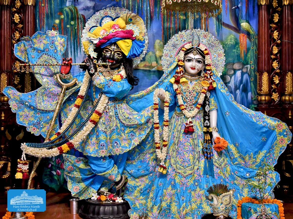 Daily Darshan-Krishna