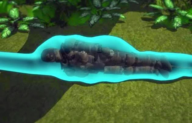 Folha VIP de Cajazeiras: Sucuri gigante engole homem nos Estados Unidos ...