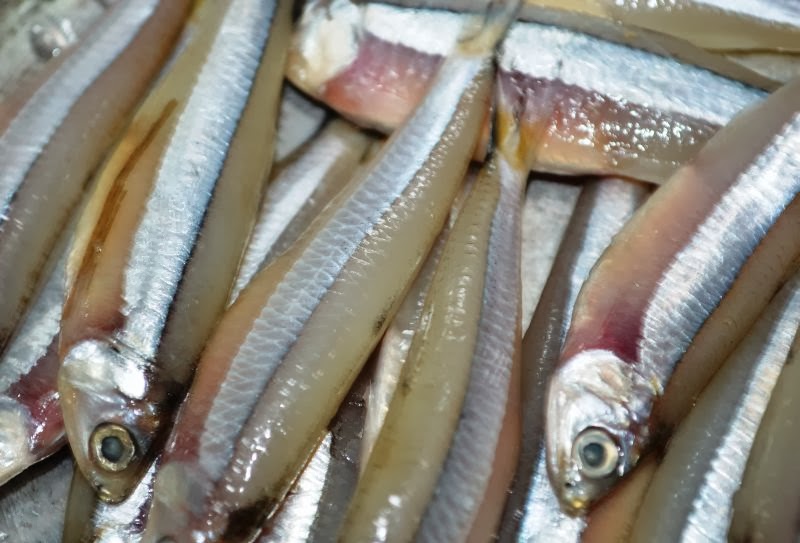 Mely's kitchen: Dilis Kinilaw