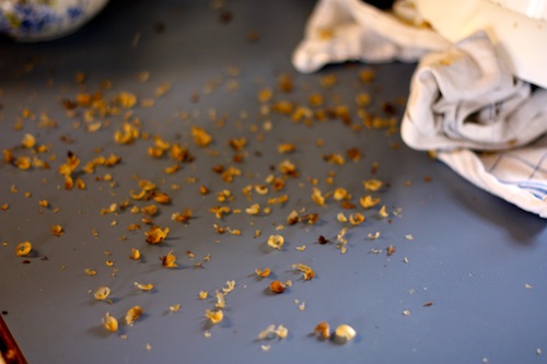 ben and birdy: Snow-Child Give-Away / Roast Your Own Coffee