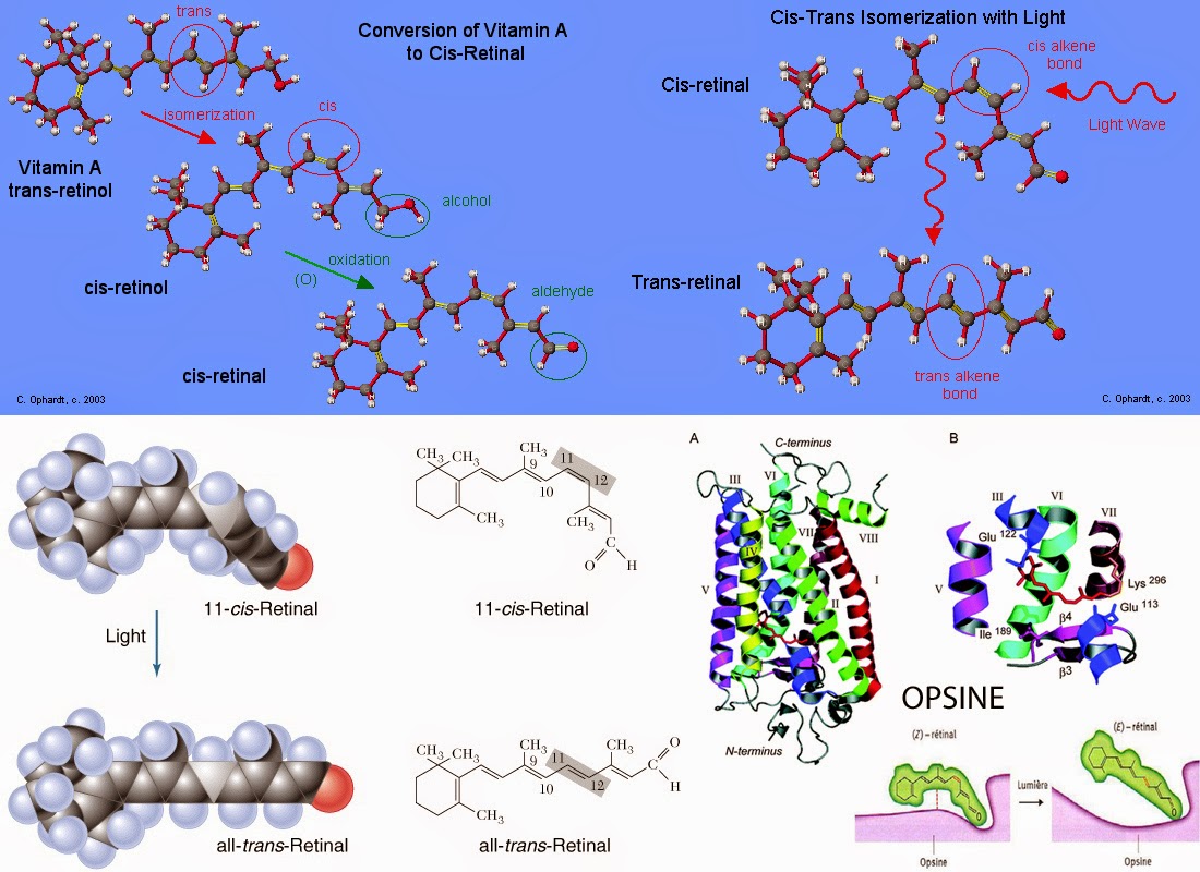 Le blog-notes de la Mansarde: Dyschromatopsies - La balance des ...