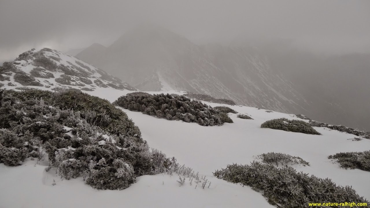 Nature-ral High: Climbing Xueshan (Snow Mountain) in Taiwan : A journey ...
