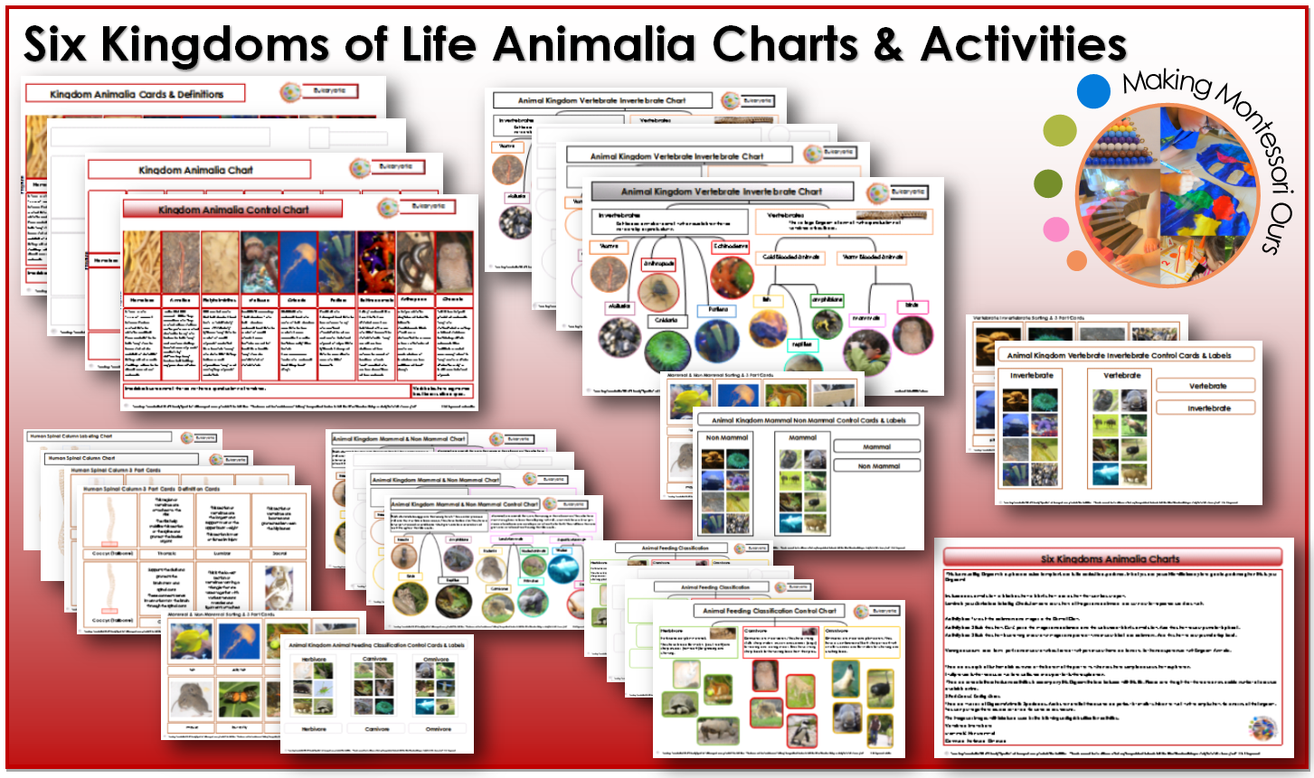 Animal Kingdom Chart For Kids