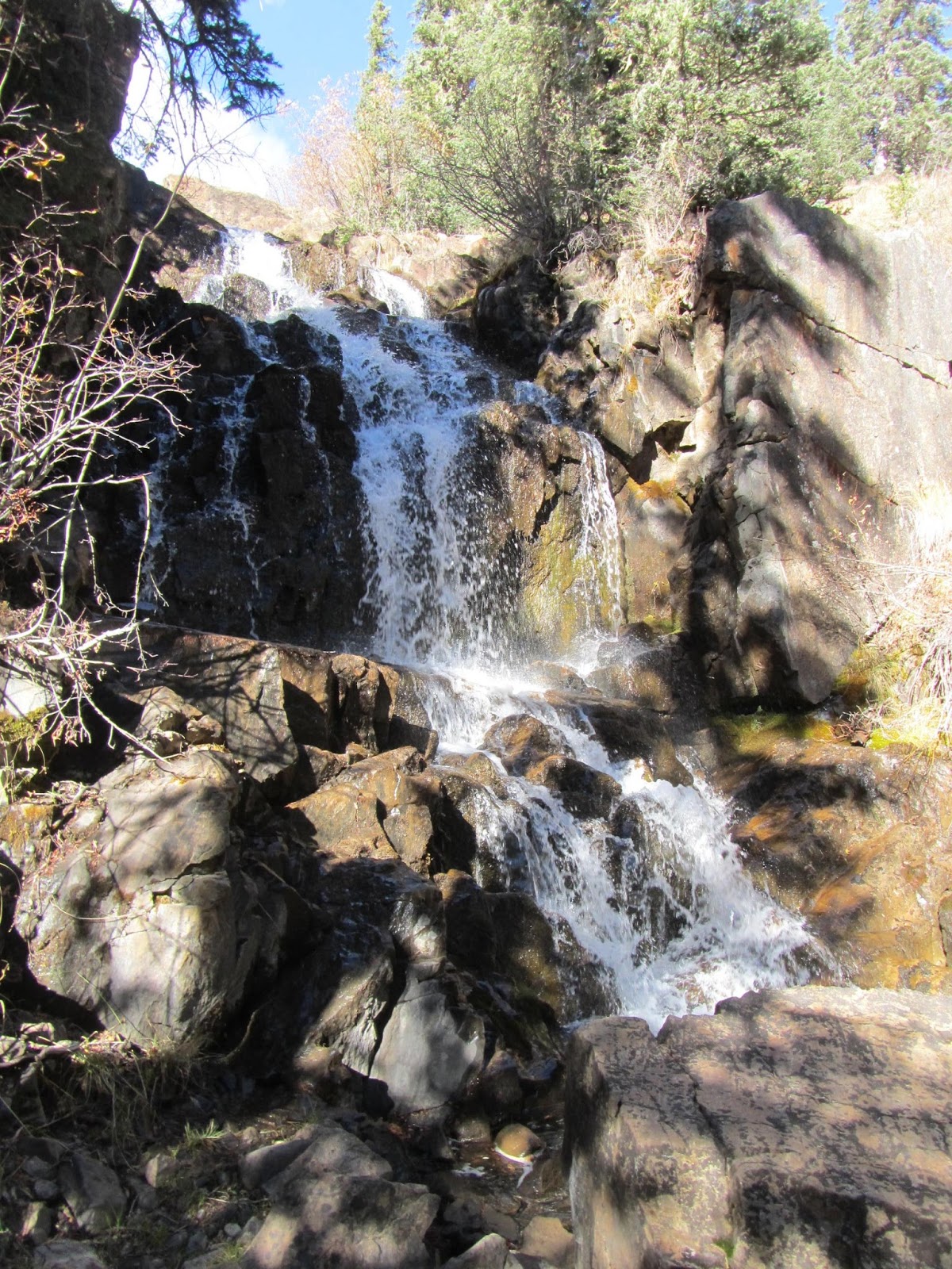 Tomcat's Outdoor Adventures: Backpacking New Mexico's Pecos Wilderness