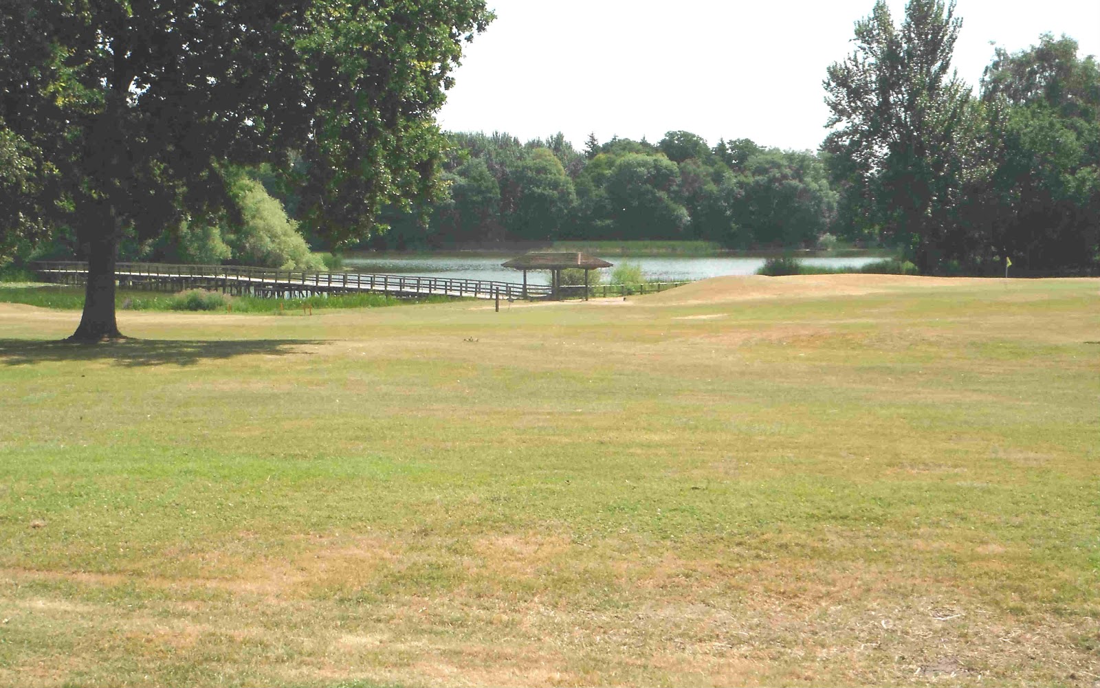 Staffordshire Photo: 01/07/18 - 01/08/18