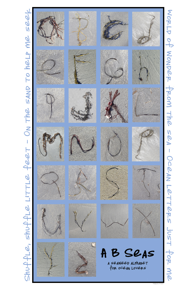 Sara Harley: A B Seas