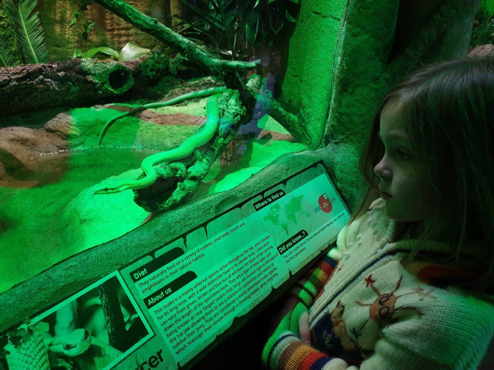 What we thought of the Paradise Wildlife Park