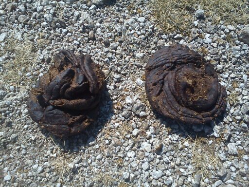 Tu mejor fotografía digital: Fotos originales